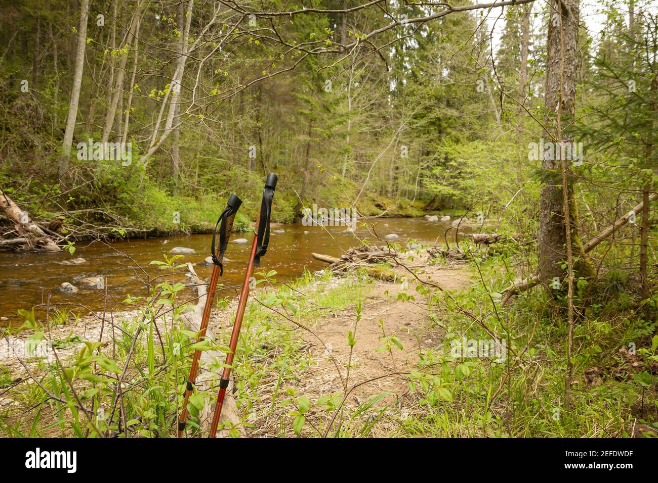 Water trees and trekking hi-res stock photography and images - Alamy