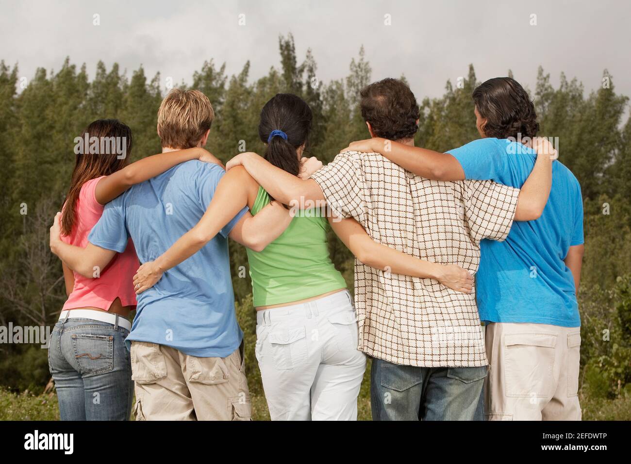Rear view of five friends with their arms around each other Stock Photo ...