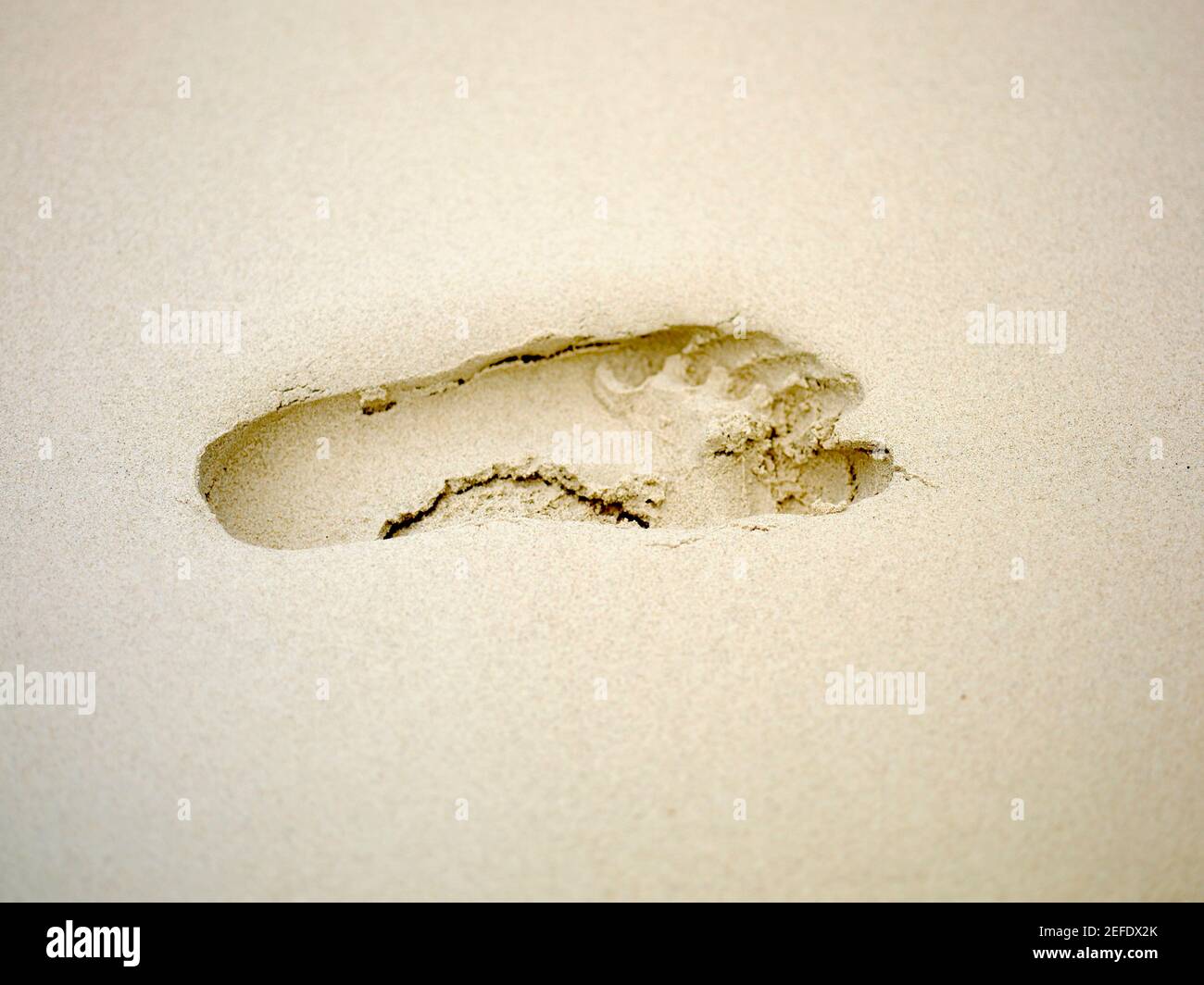 A footprint hi-res stock photography and images - Alamy
