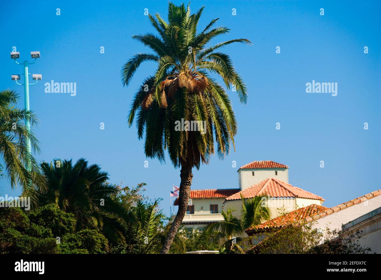 Blue light building from below hi-res stock photography and images - Alamy