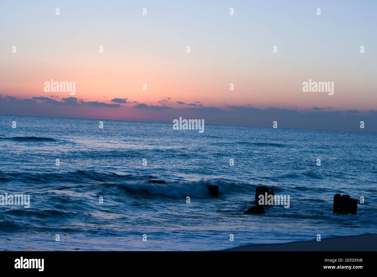 Beauty in south florida hi-res stock photography and images - Alamy