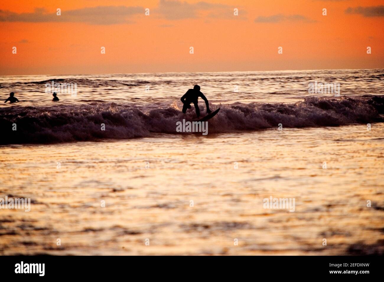 Side profile of a person surfing, San Diego, California, USA Stock ...