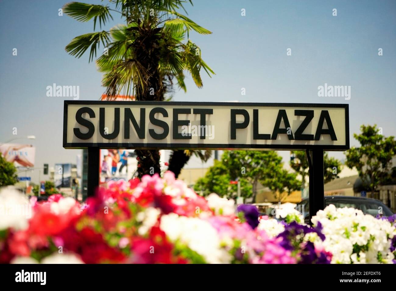 Sunset Plaza Sign erected in a flower bed, Los Angeles, California, USA ...