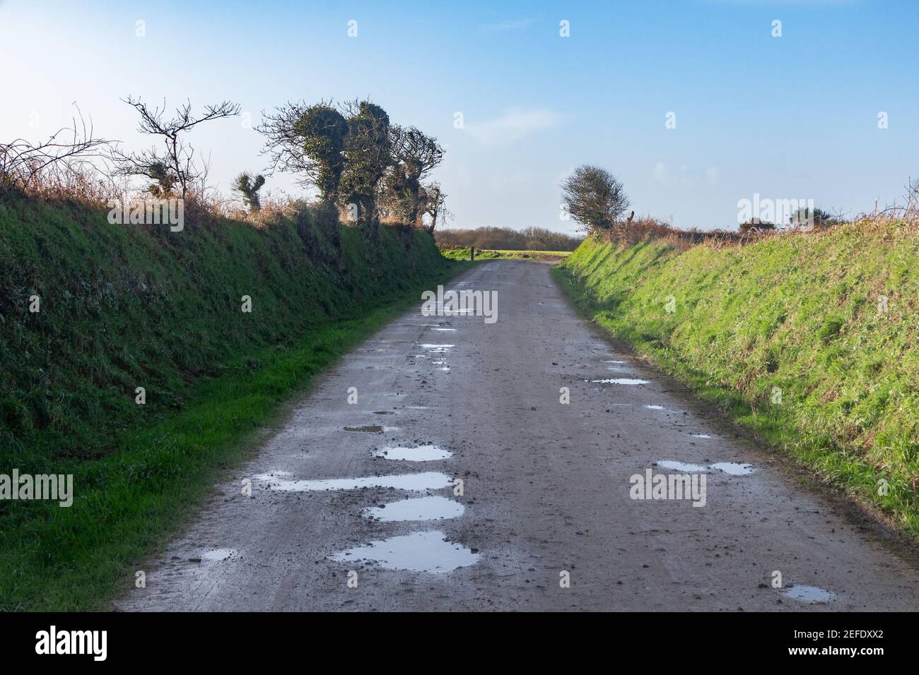 Footpath in the countryside in Brittany Stock Photo - Alamy