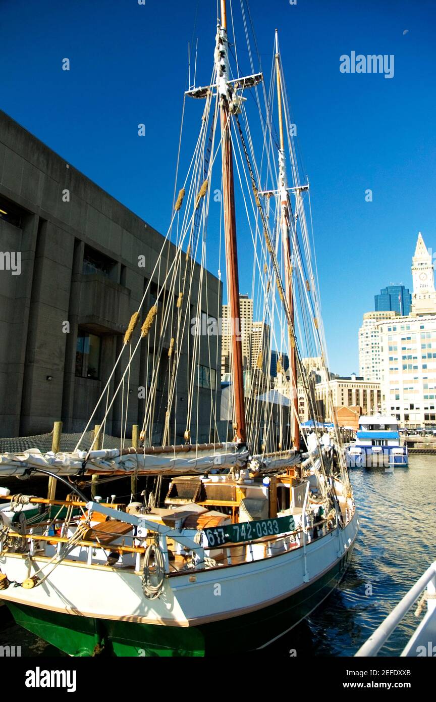 Sailboat on the water, Boston, Massachusetts, USA Stock Photo - Alamy