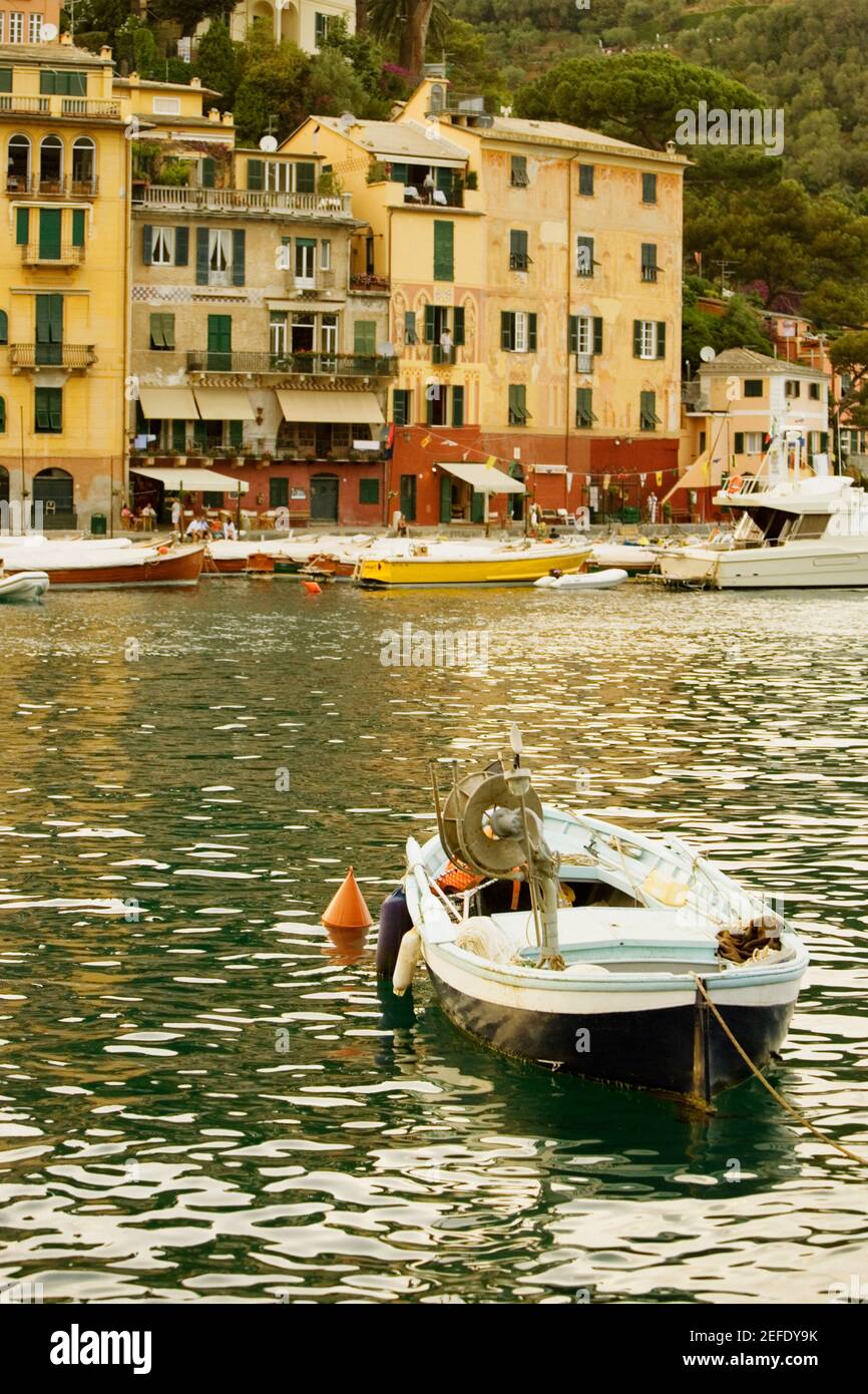 Boat moored at a harbor, Italian Riviera, Porticciolo, Portofino, Genoa ...