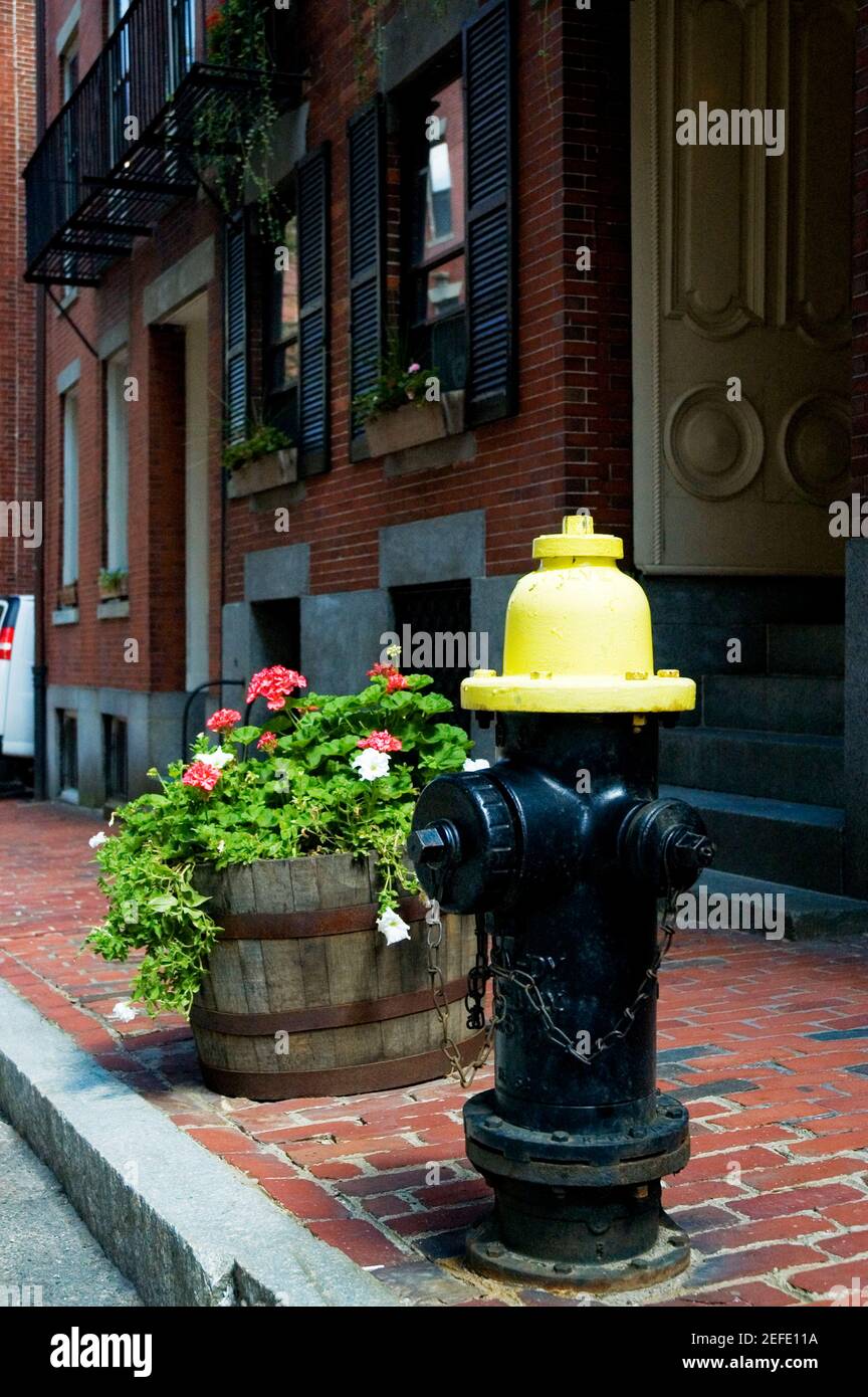 Fire hydrant on a street, Boston, Massachusetts, USA Stock Photo - Alamy