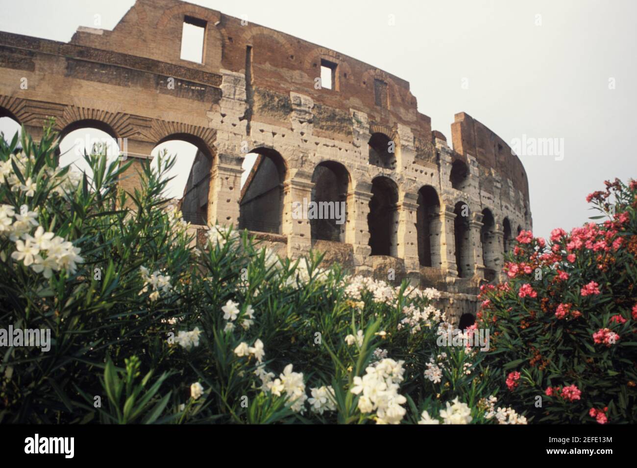 Ancient rome amphitheater color hi-res stock photography and images - Alamy