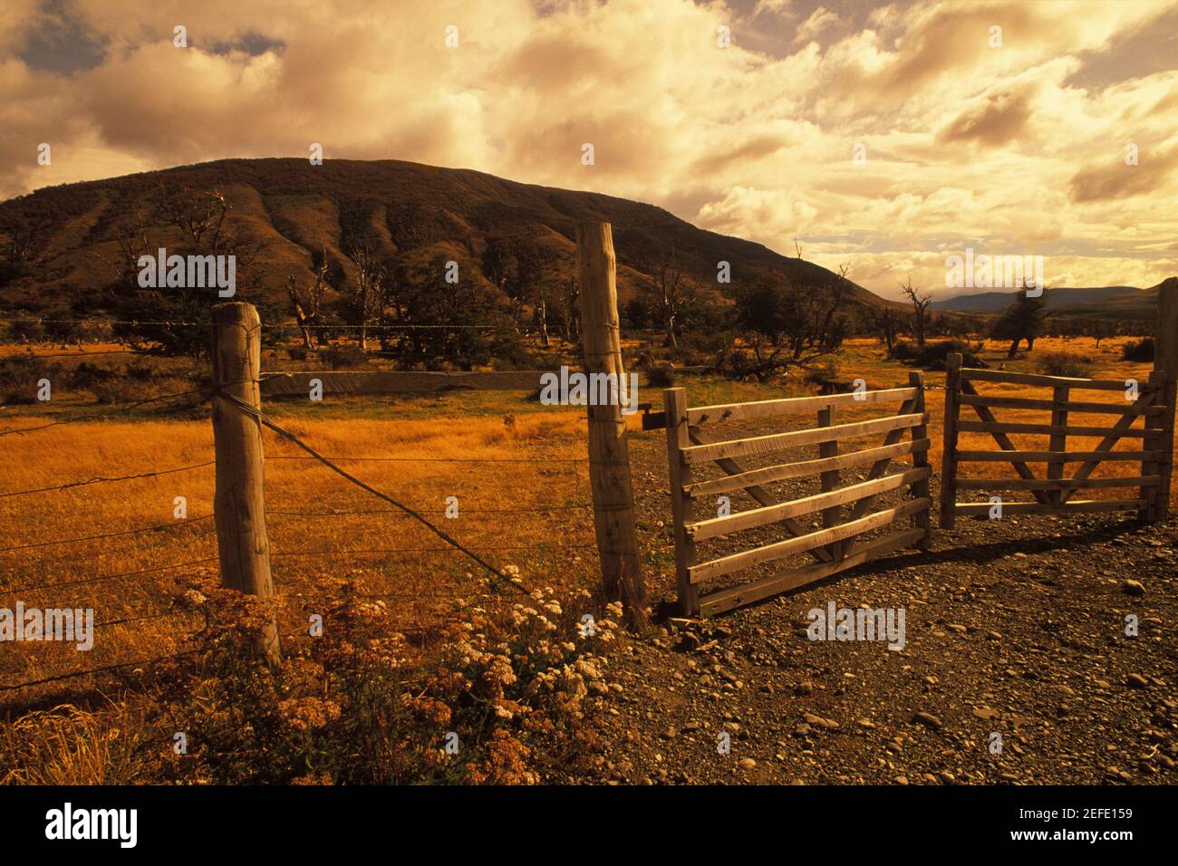 Barbed wire fence with a gate on a landscape Stock Photo - Alamy