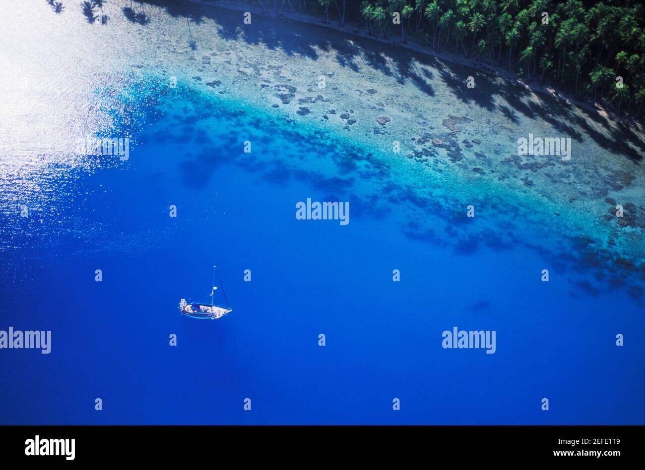 Hawaii forest from above hi-res stock photography and images - Alamy