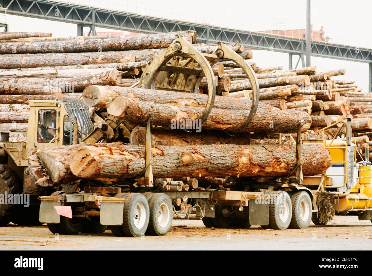 Semi-truck unloading logs, Reedsport, Oregon, USA Stock Photo - Alamy