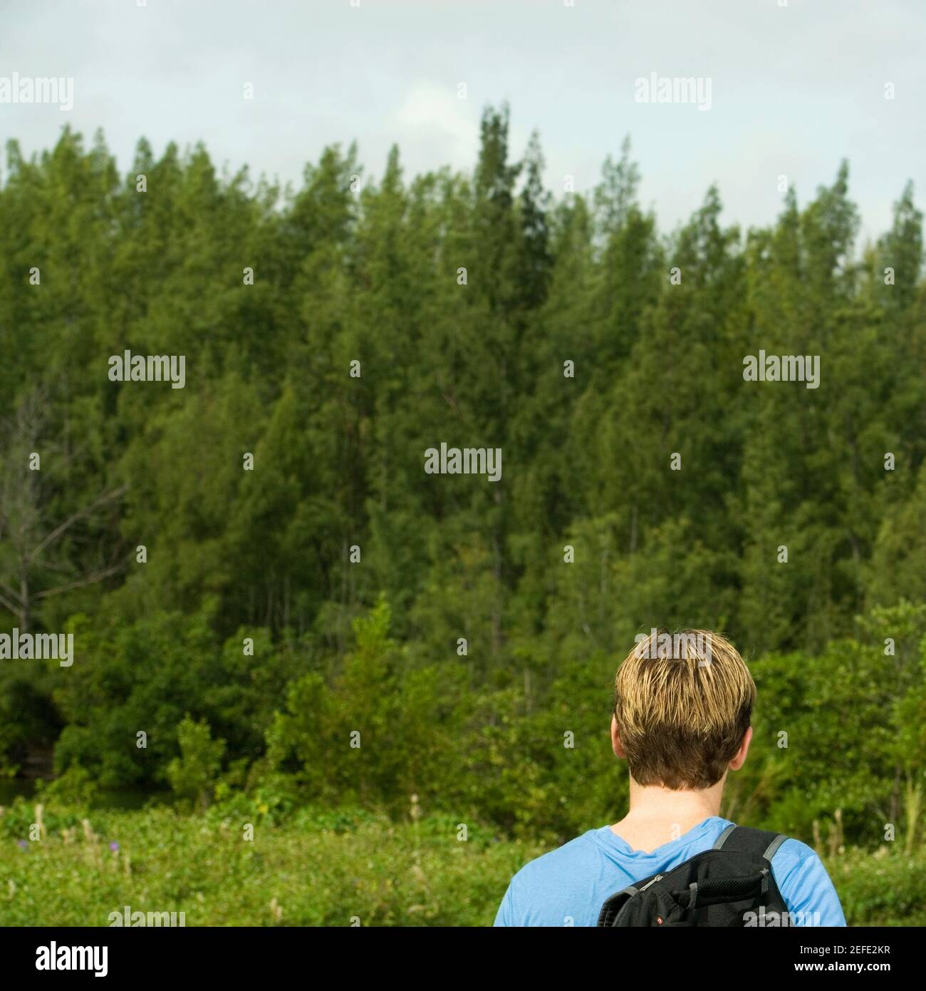 Young man carrying a backpack hi-res stock photography and images - Alamy