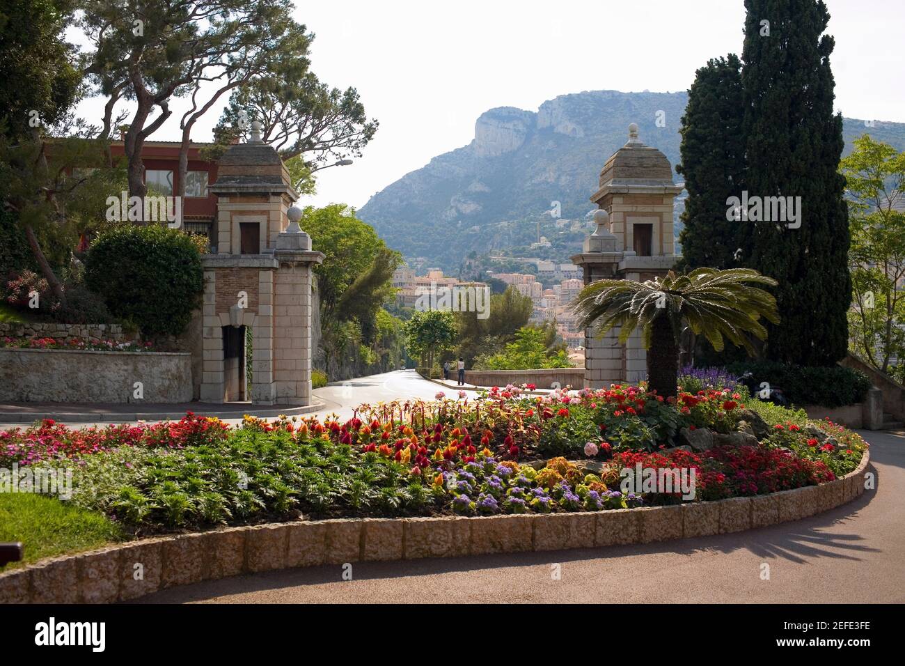 Flowers and trees in a garden, Monte Carlo, Monaco Stock Photo - Alamy