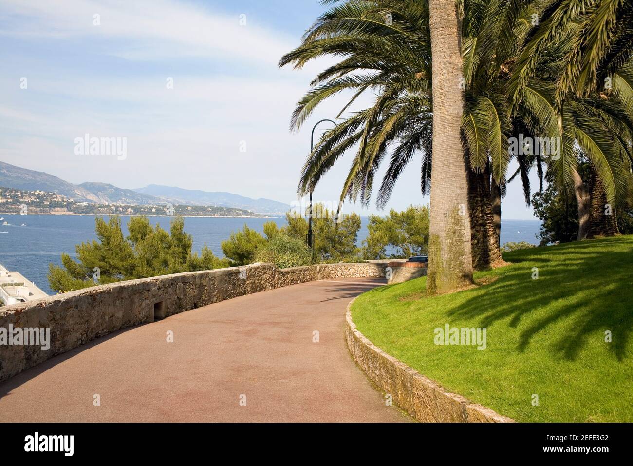 Palm trees along a walkway, Monte Carlo, Monaco Stock Photo - Alamy