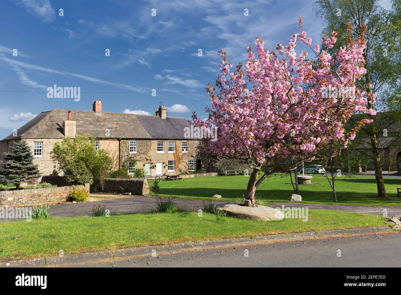 Northumbria in spring hi-res stock photography and images - Alamy