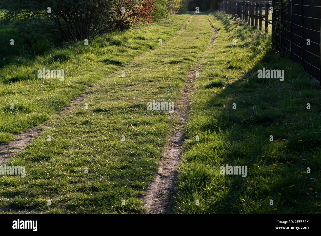 Lane grass hi-res stock photography and images - Alamy