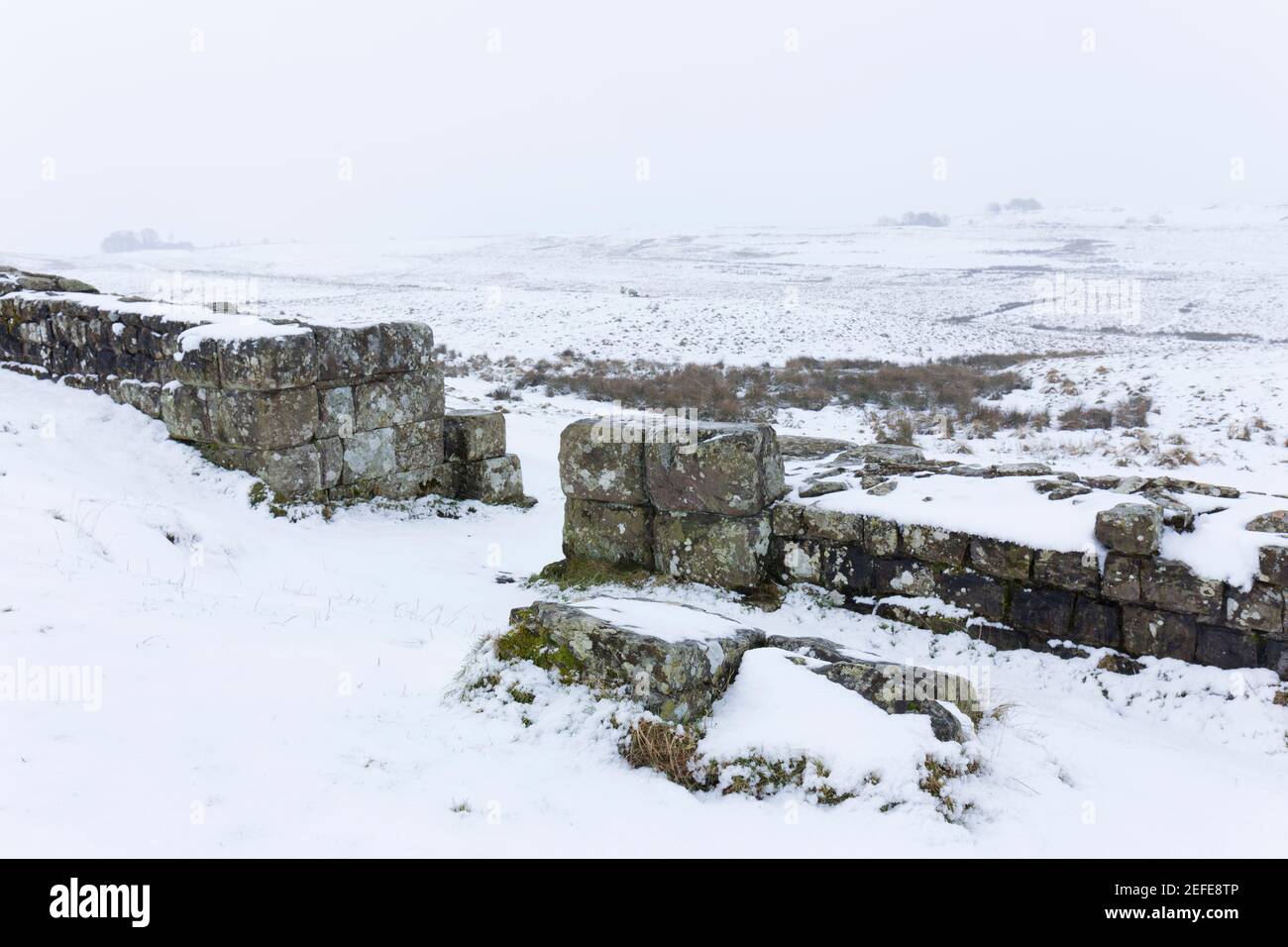 The south gateway of Milecastle 42 at Cawfield, Hadrian's Wall ...