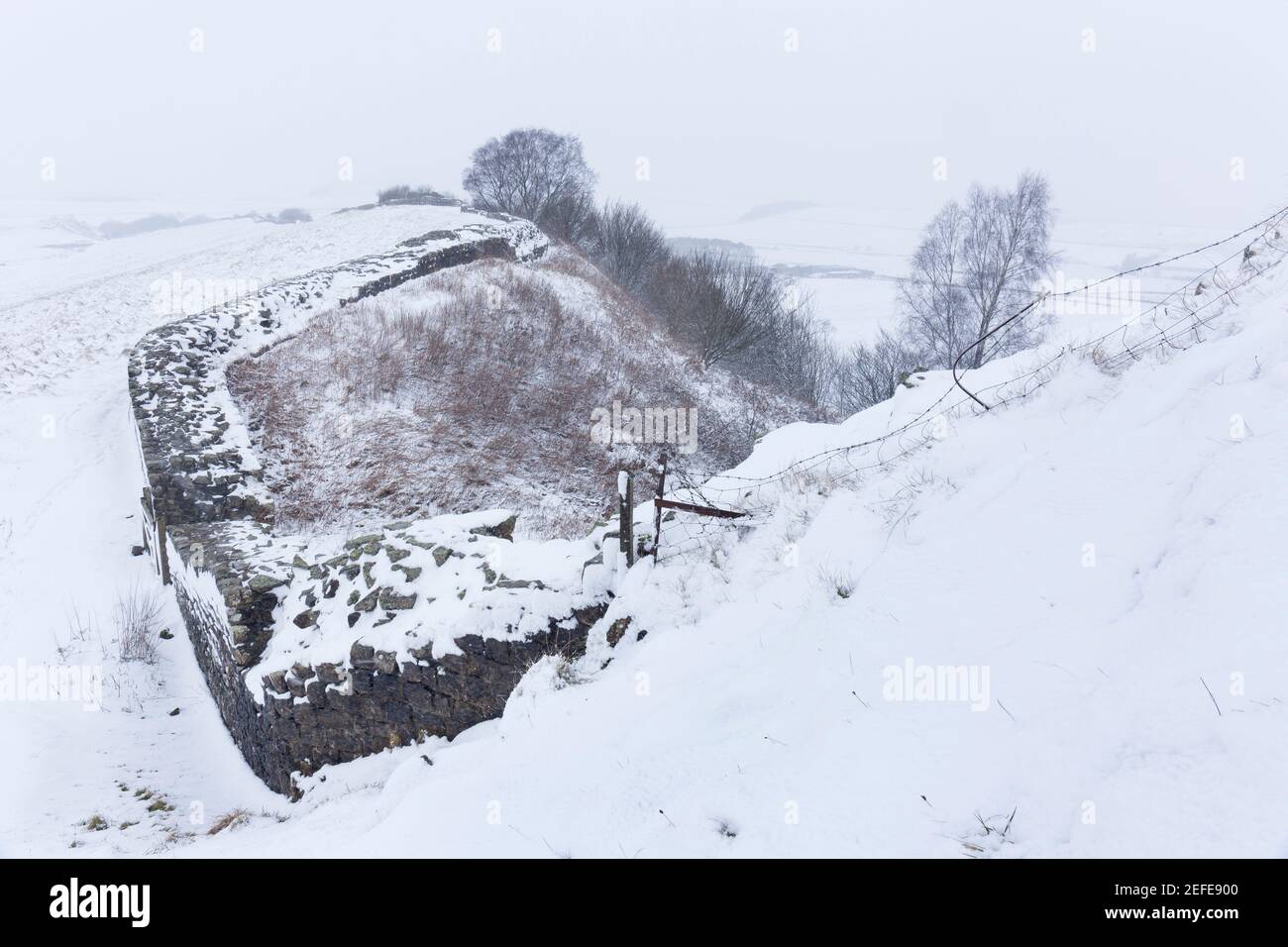 Thorny Doors High Resolution Stock Photography and Images - Alamy