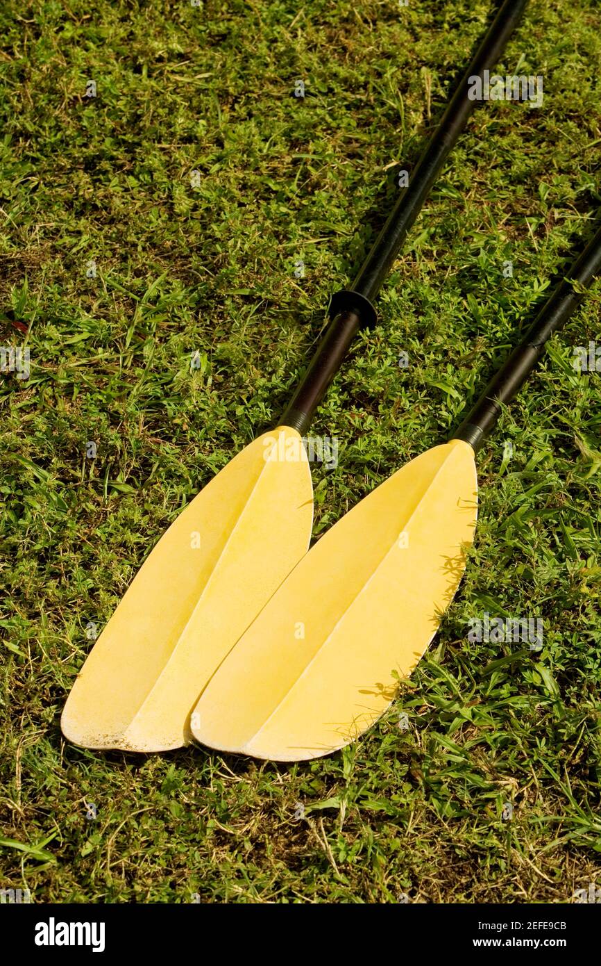 Two oars hi-res stock photography and images - Alamy