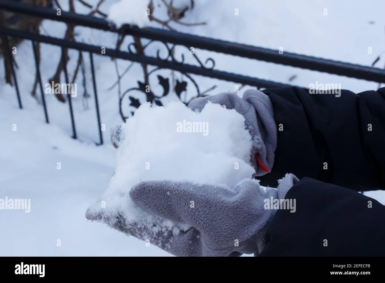 Close up woman hand holding snow. Cold and snowy weather. Winter ...