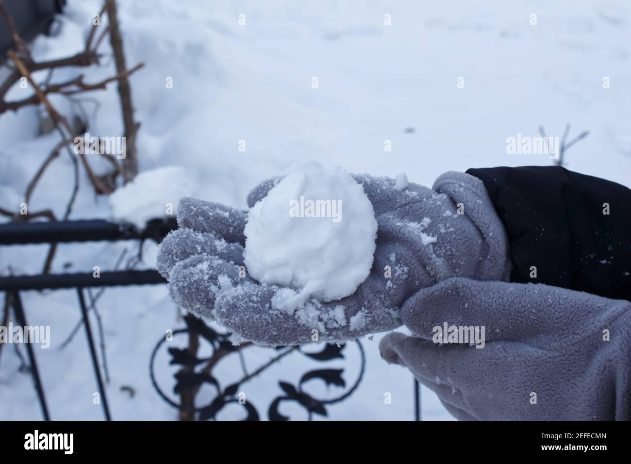 Close up woman hand holding snow. Cold and snowy weather. Winter ...