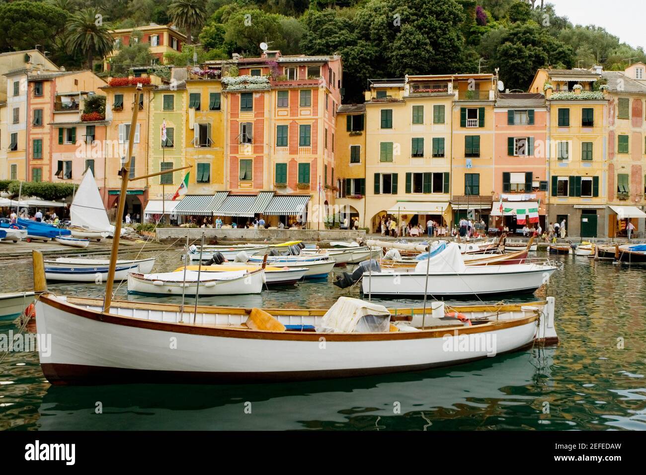Boats moored at a harbor, Italian Riviera, Portofino, Genoa, Liguria ...
