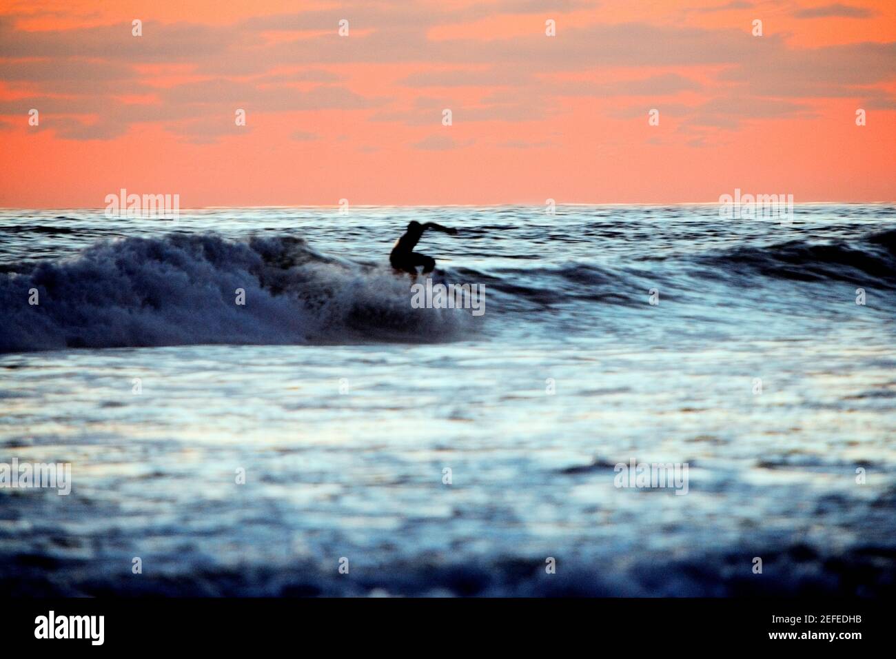 Side profile of a person surfing, San Diego, California, USA Stock ...