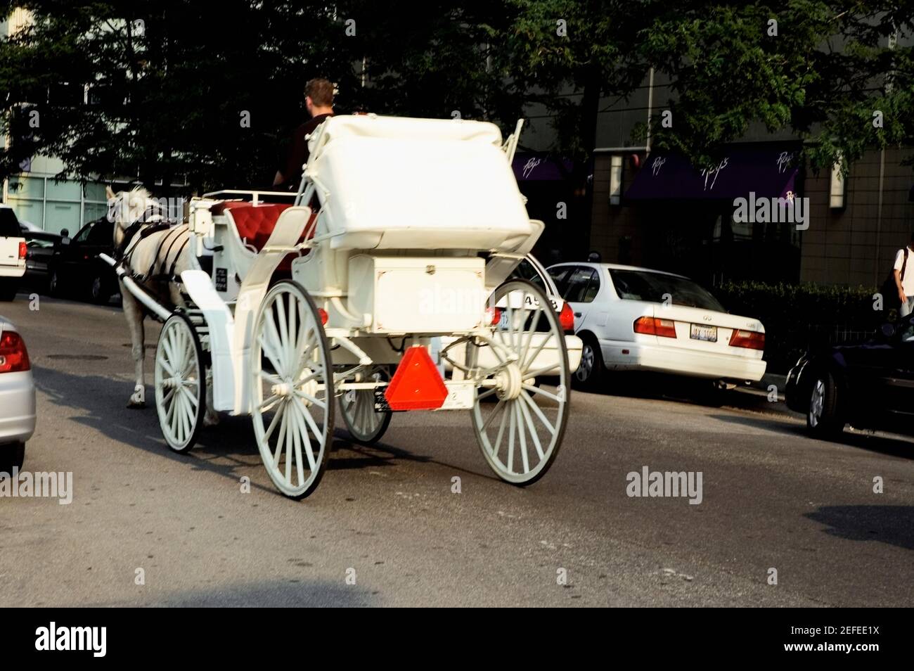 Rear view of a horse carriage in the street, Chicago, Illinois, USA ...