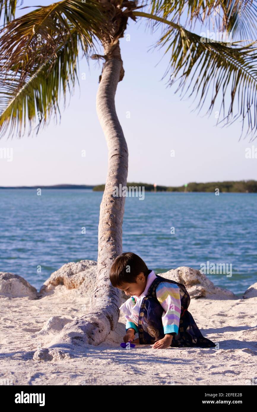 On person sitting under palm tree hi-res stock photography and images ...