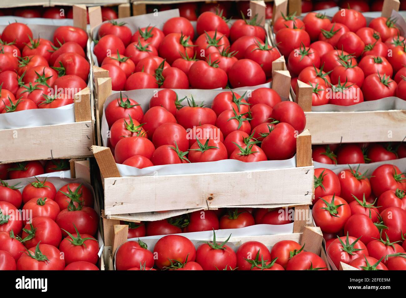 Crates of Red Tomatoes in Warehouse Storage Stock Photo - Alamy