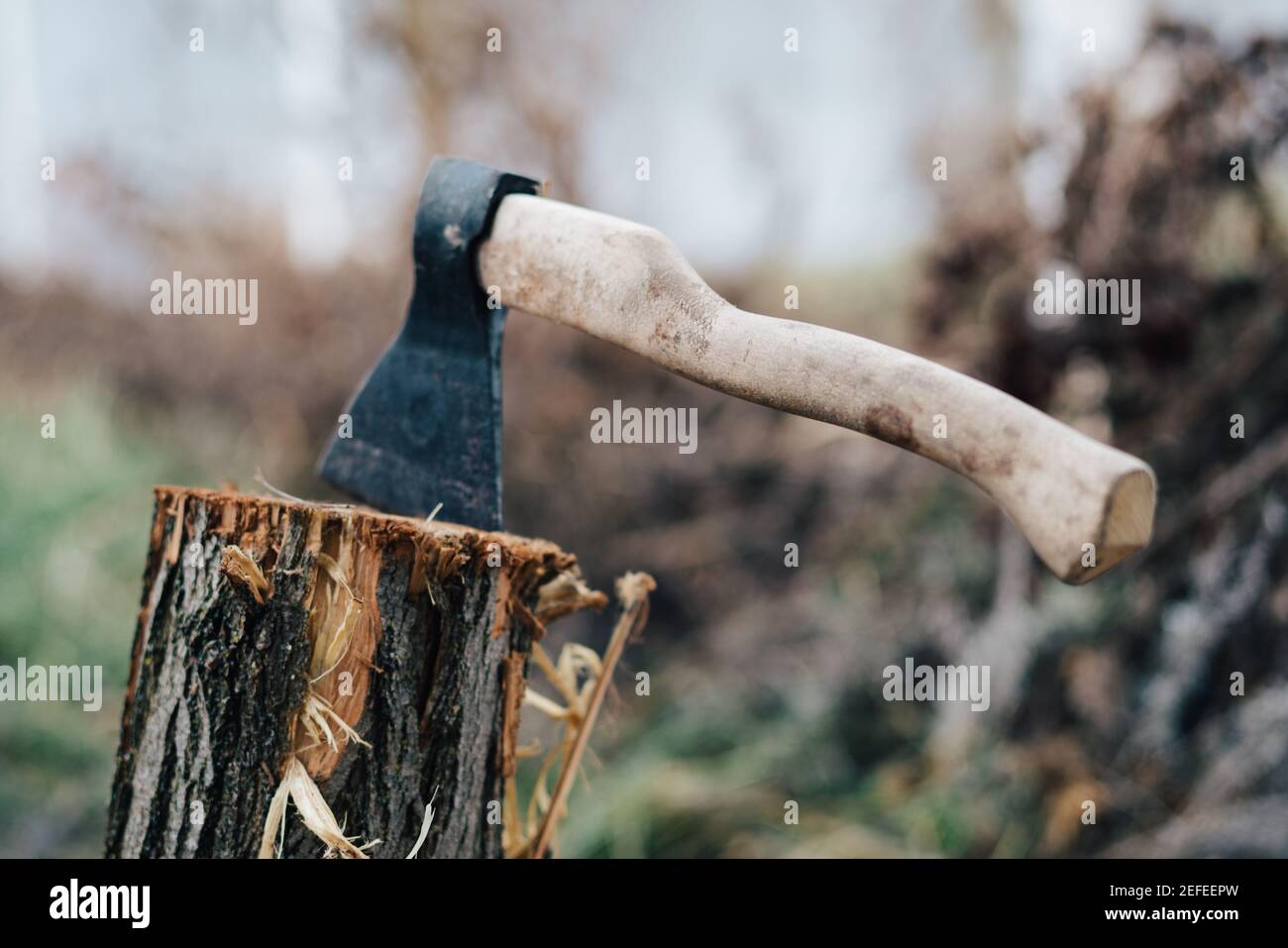 ax in the stump firewood for a fire outdoors close-up Stock Photo - Alamy