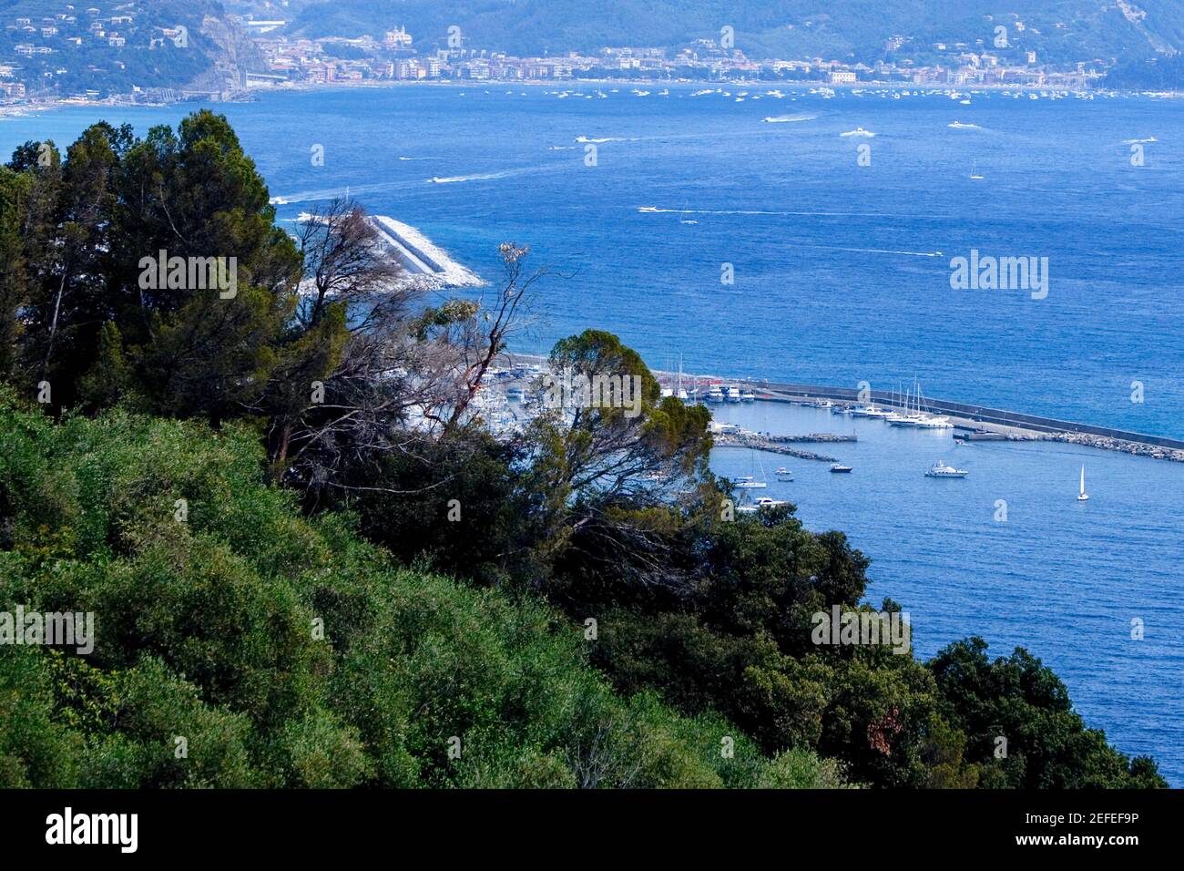 High angle view of trees on a hill, Italian Riviera, Mar Ligure, Genoa ...