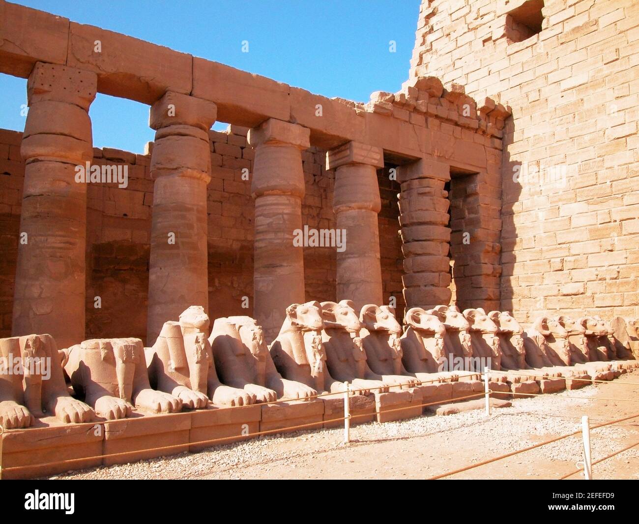 Luxor animals hi-res stock photography and images - Alamy