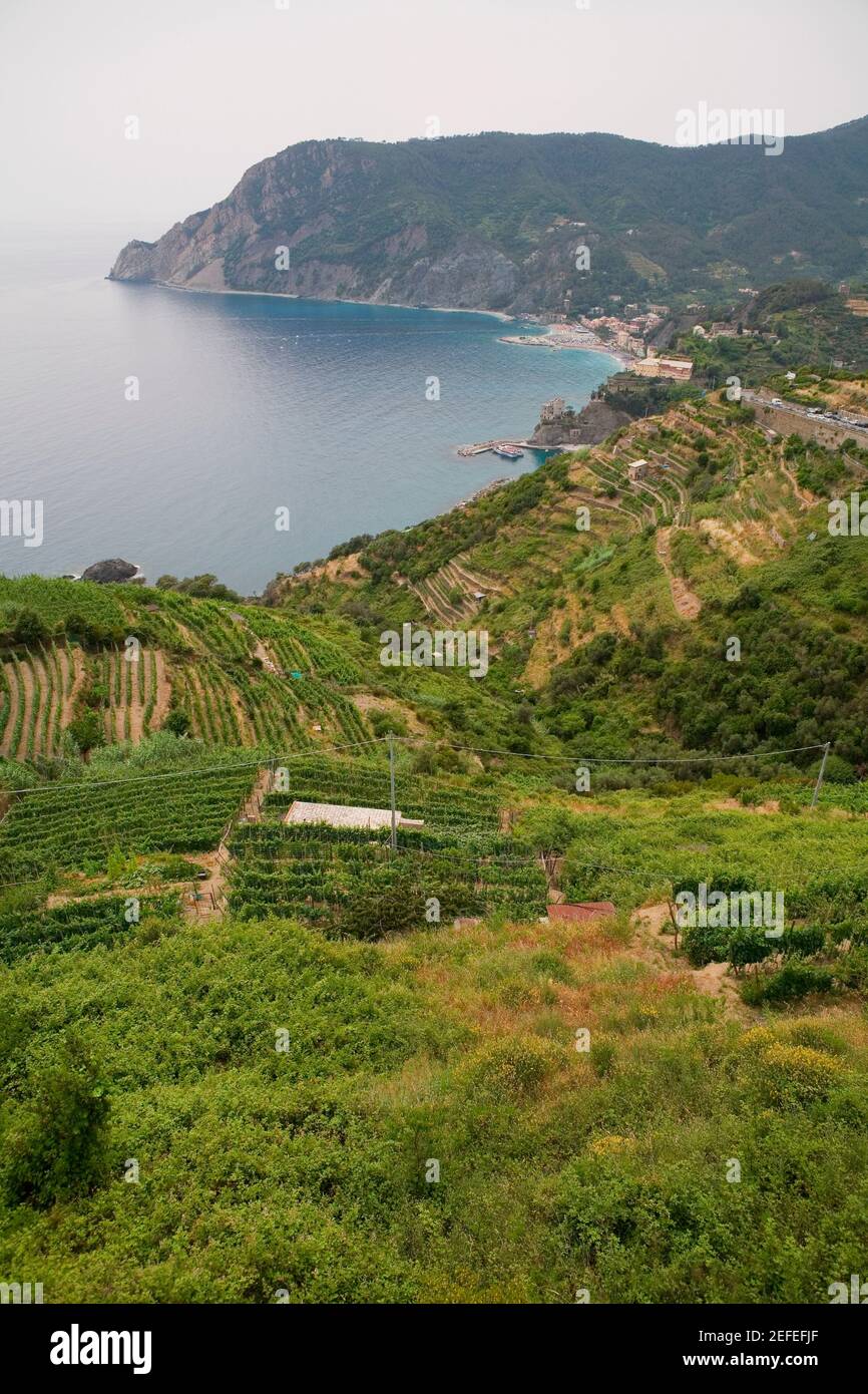 Parco Nazionale Cinque Terre High Resolution Stock Photography and ...