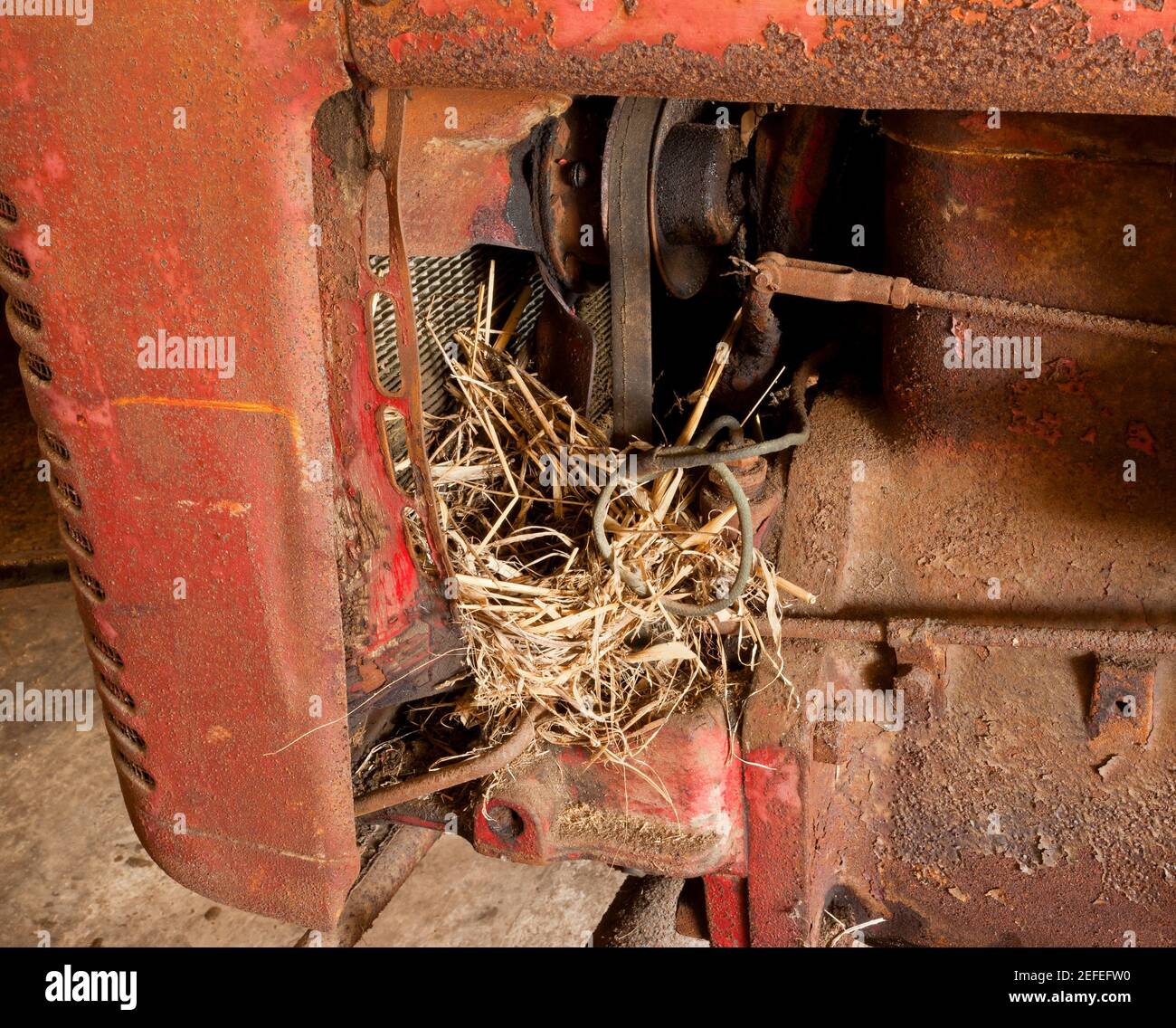 A bird's nest built into the engine of a tractor Stock Photo - Alamy