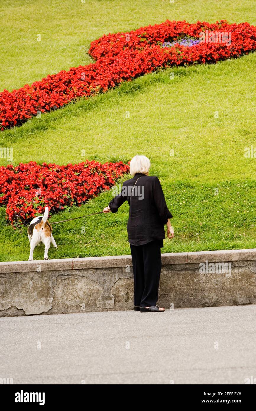 Rear view of a woman with her dog in a garden, Scalinata Delle ...