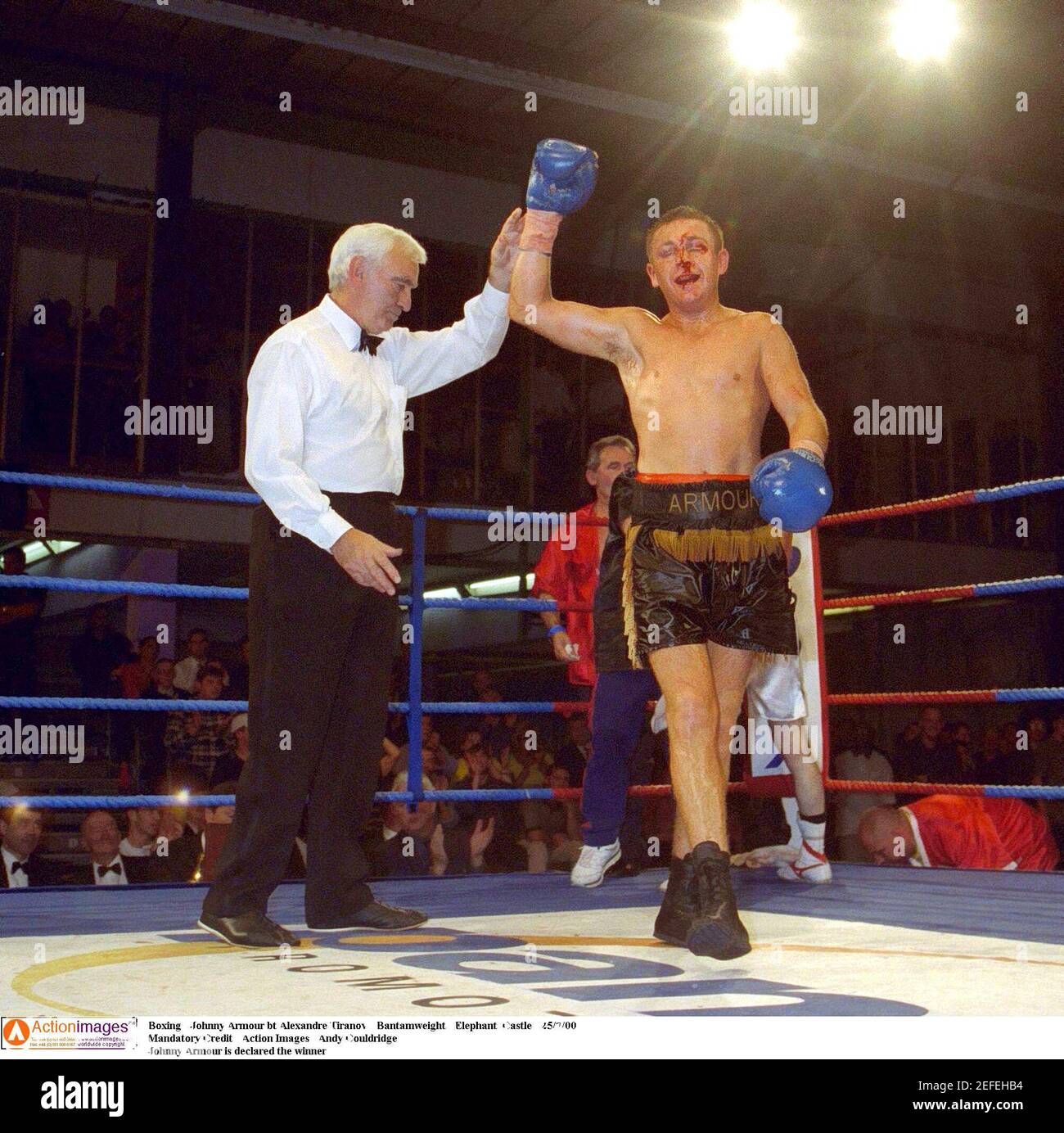 Elephant armour hi-res stock photography and images - Alamy