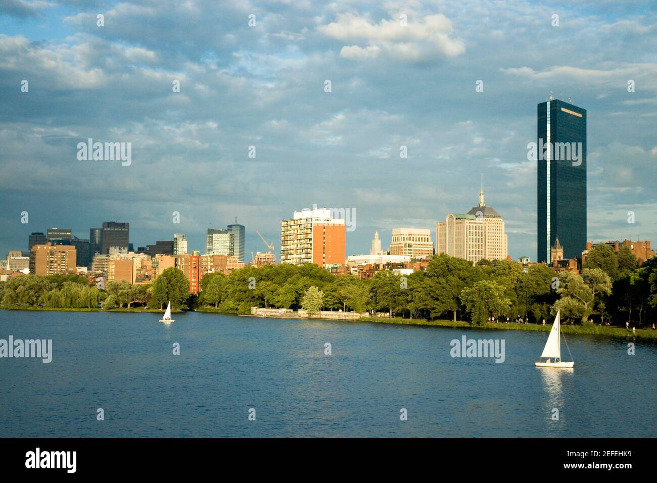 Sailboats in a river, Charles River, Boston, Massachusetts, USA Stock ...