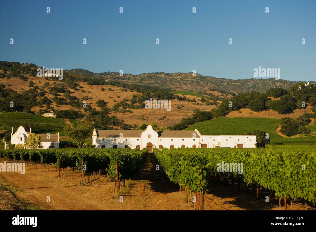 Agribusiness building hi-res stock photography and images - Alamy