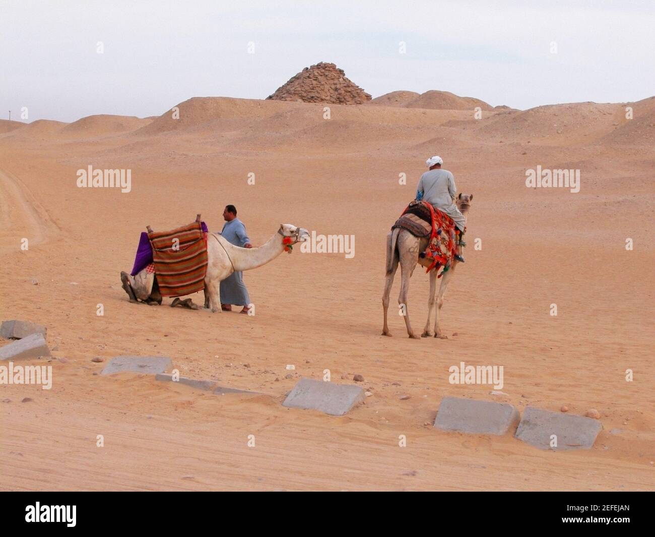 Rear view of a man riding a camel Stock Photo - Alamy