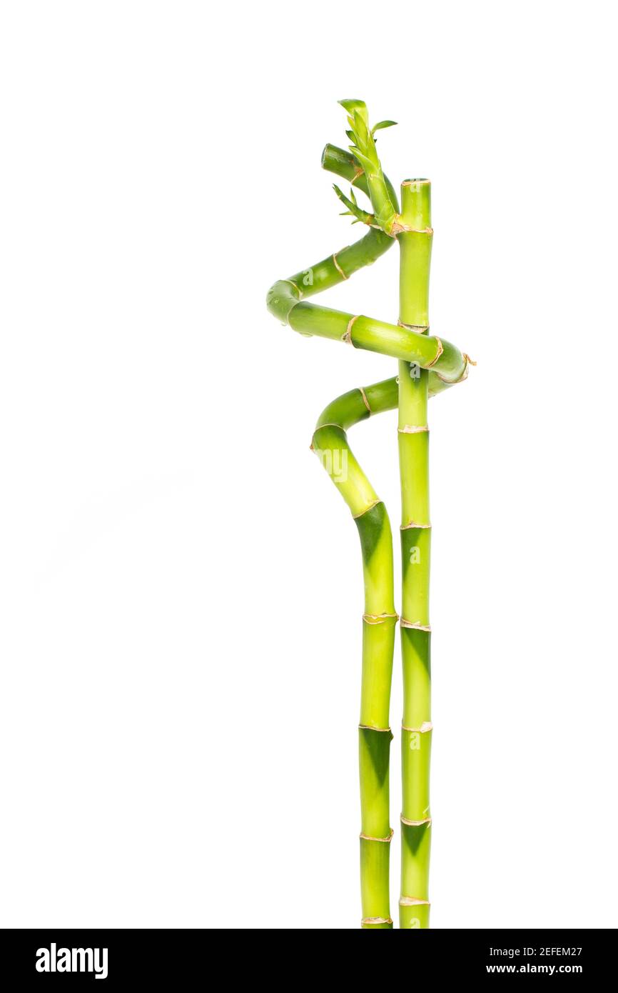 Straight white couple hi-res stock photography and images - Alamy