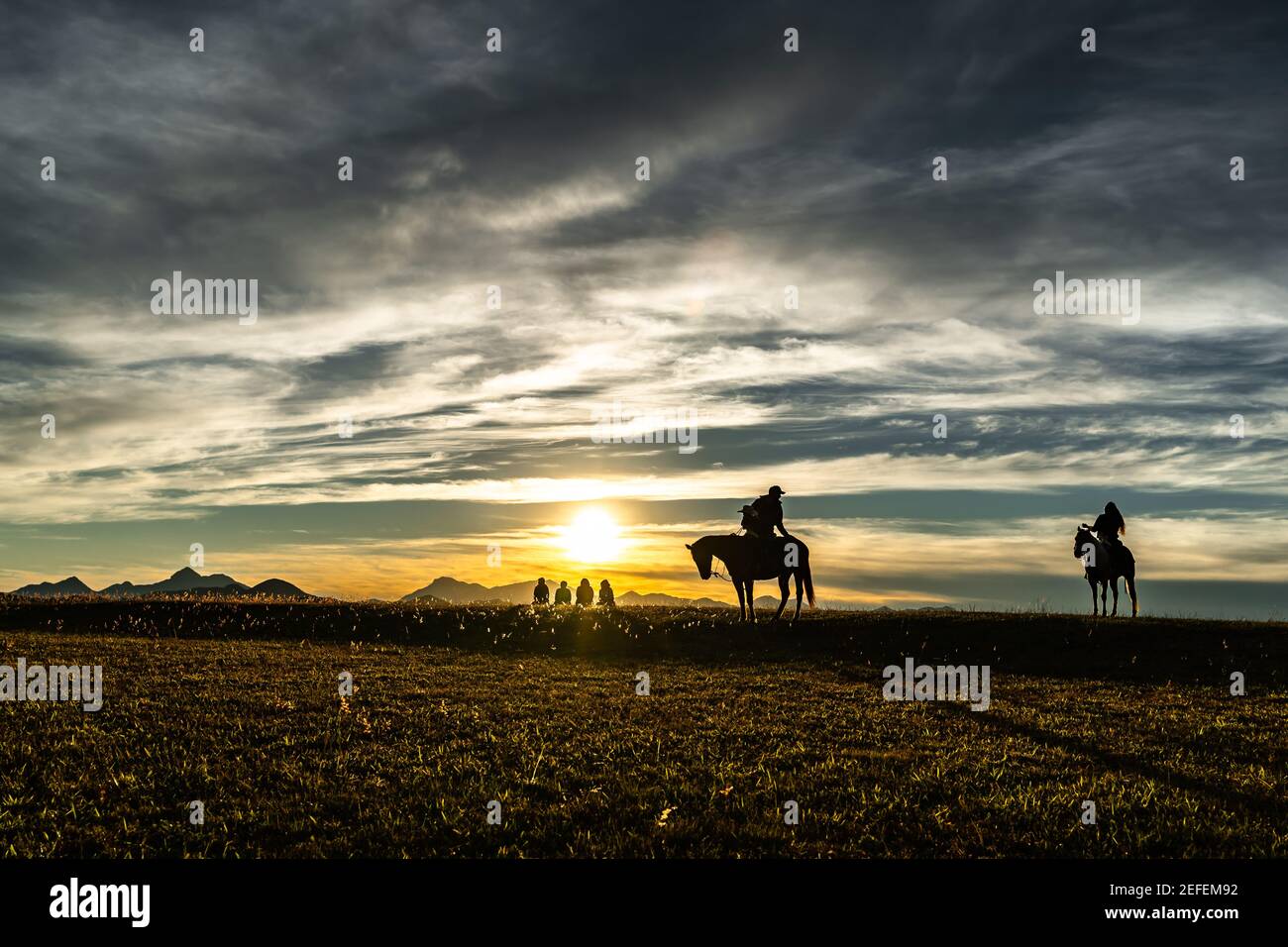 Group of people riding horses in a field during a scenic sunset Stock ...