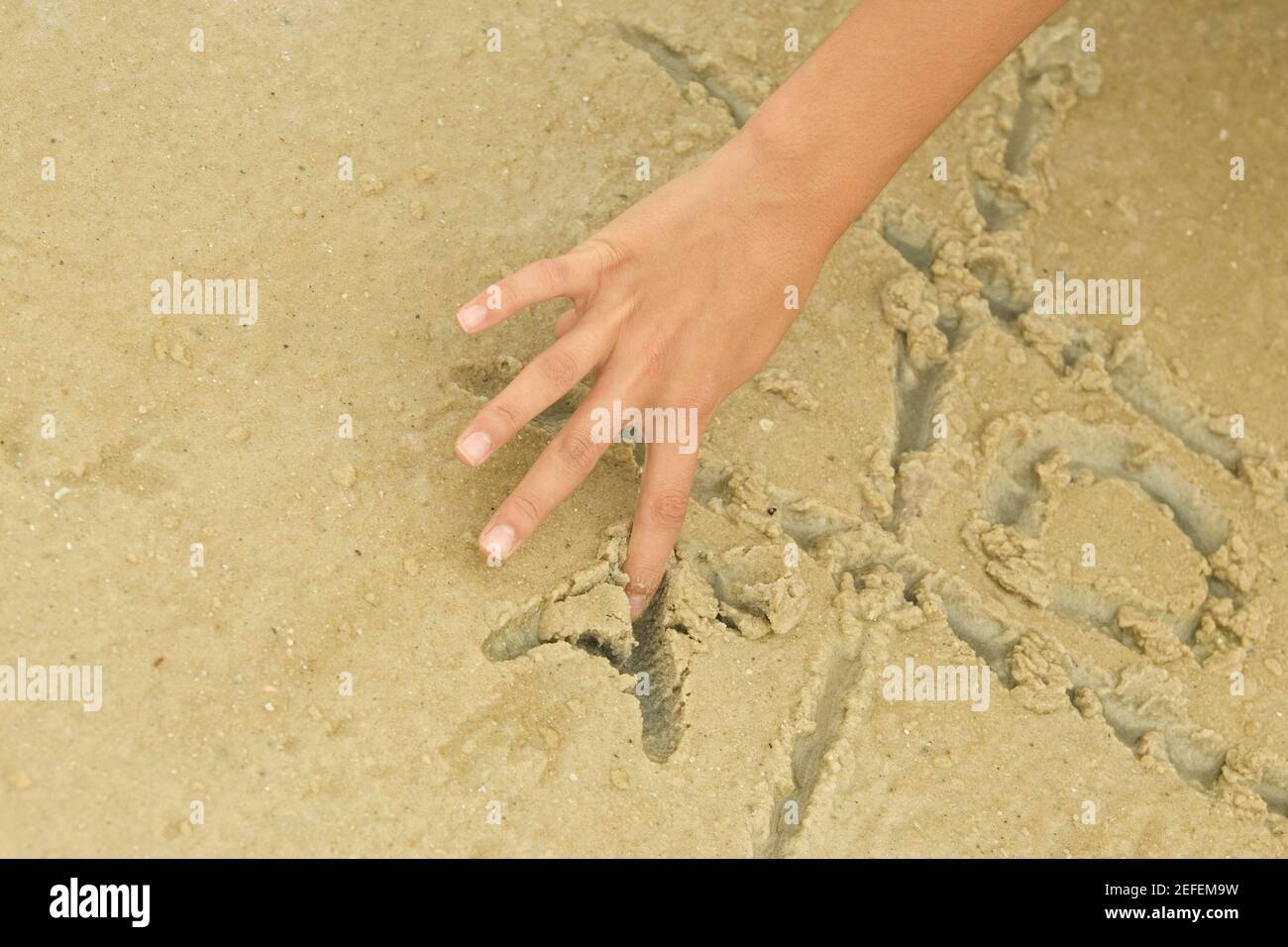 Tic activity hi-res stock photography and images - Alamy