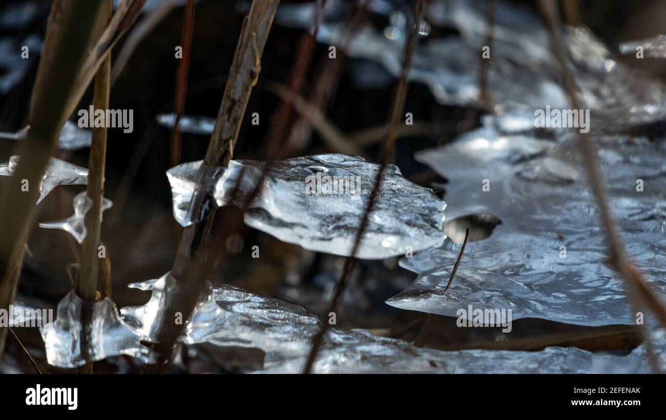 Eisskulpturen an Baum oder Ästen, Icicles on branches and stones on the ...