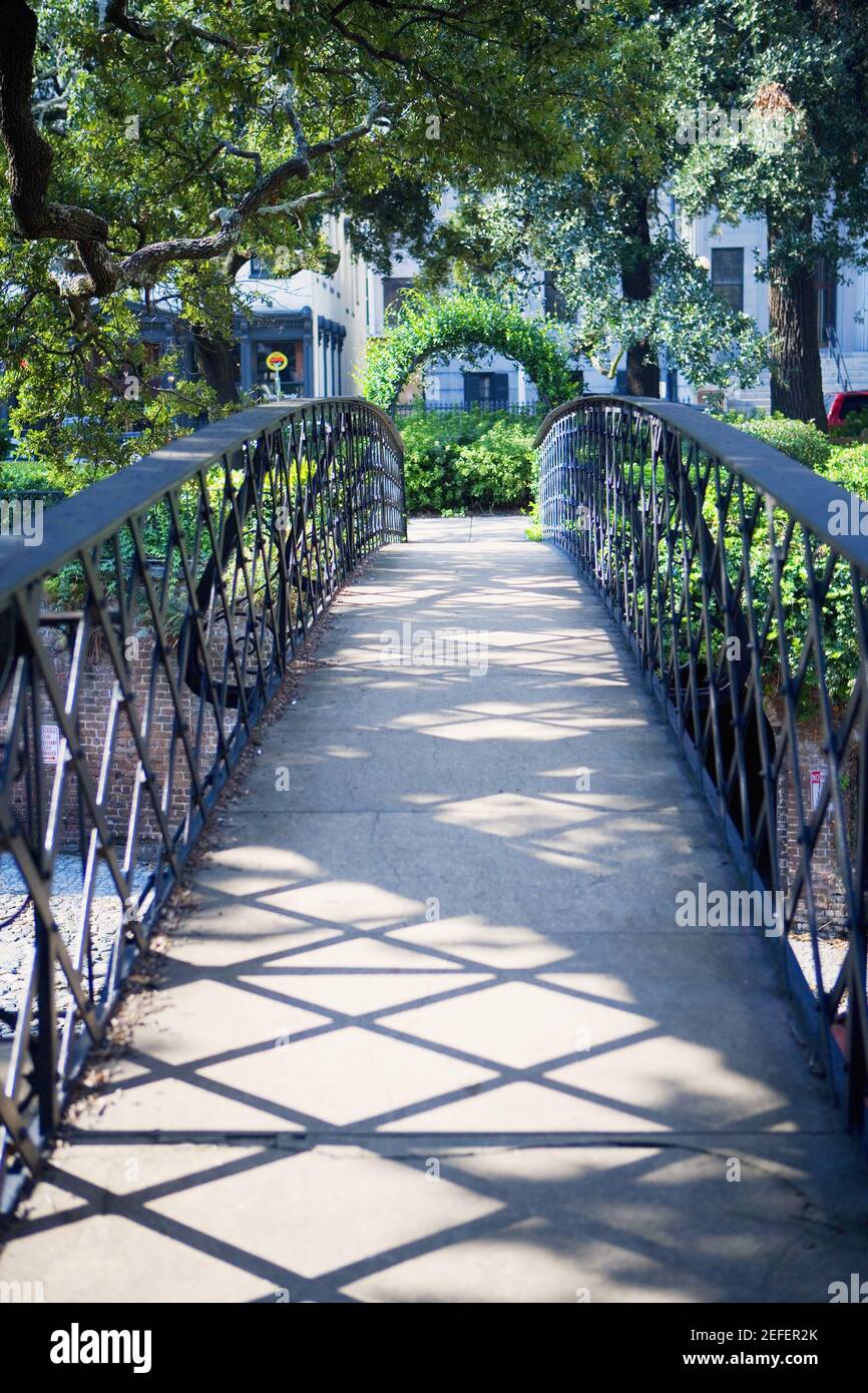 Entrance of a footbridge covered with ivy, Savannah, Georgia, USA Stock ...