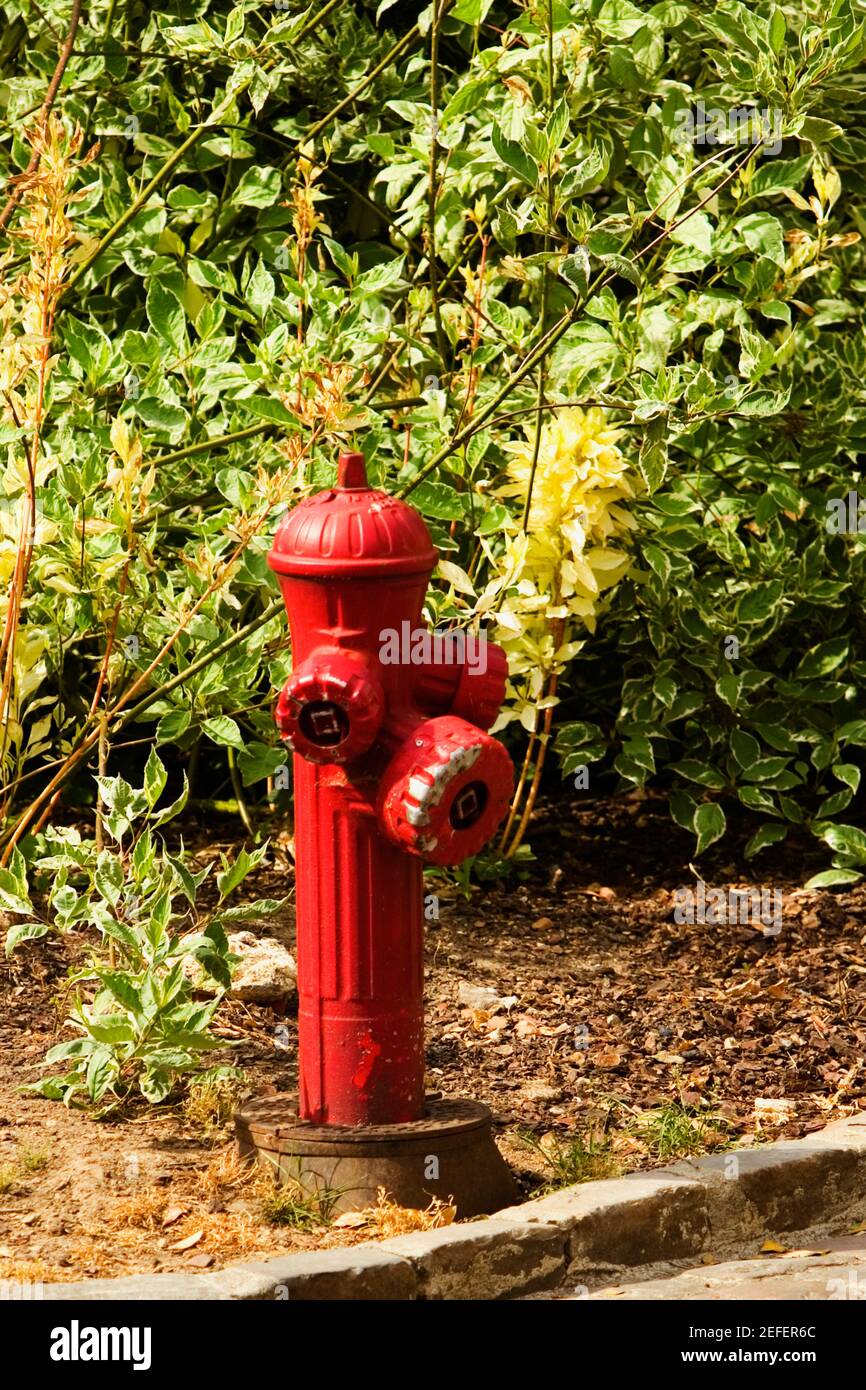 Close up of a fire hydrant, Le Mans, France Stock Photo - Alamy