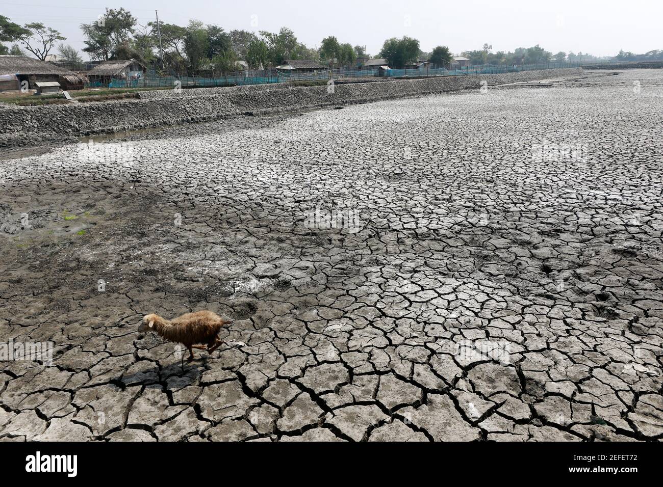 Khulna, Bangladesh - February 06, 2021: Freshwater is now the main ...