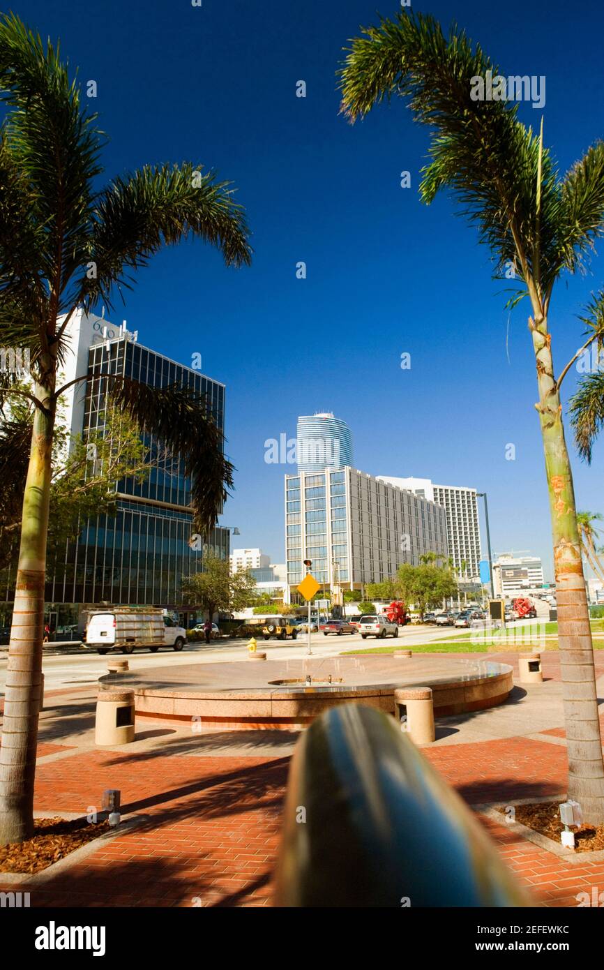 Palm tree shadow water miami hi-res stock photography and images - Alamy