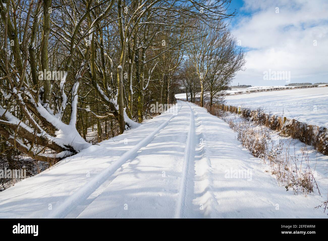 Snow Covered footpath (on disused railway) in the Scottish Borders ...