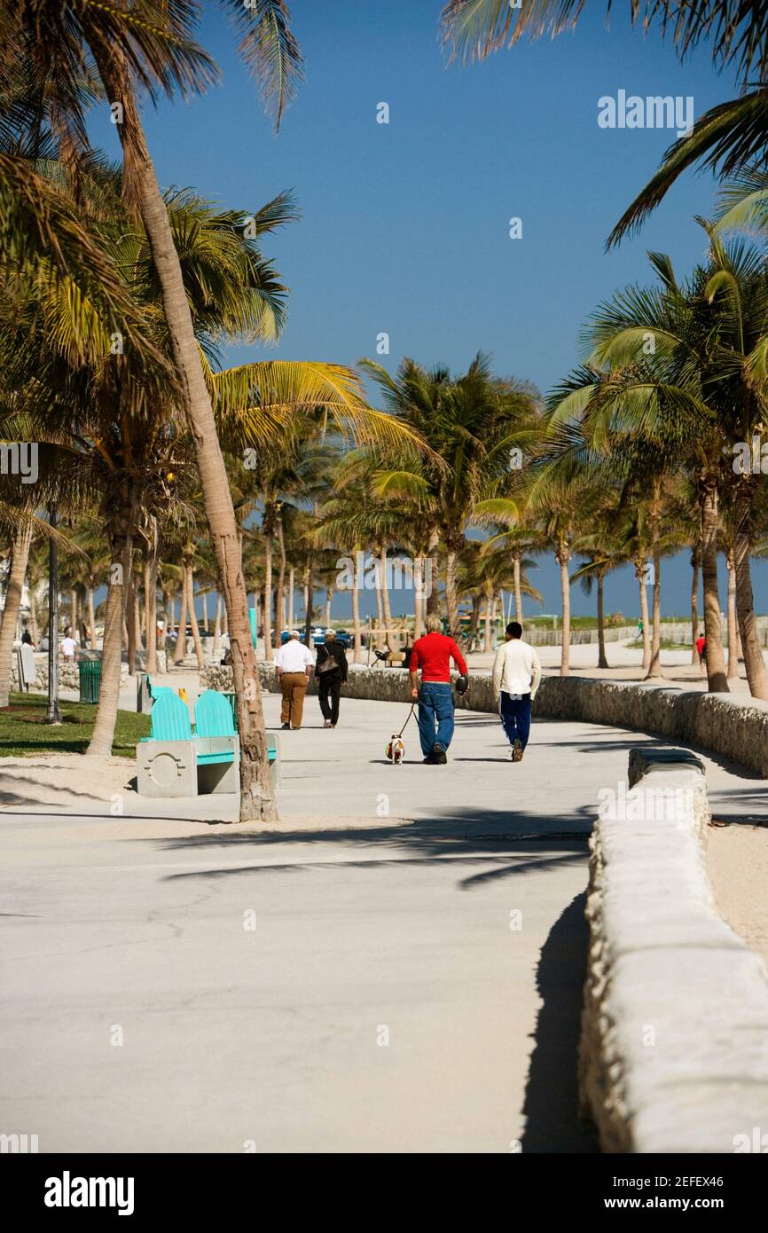 Miami beach shirt hi-res stock photography and images - Alamy